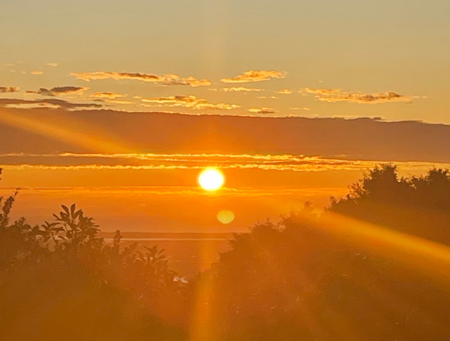 #1. A Simple Consciousness Hack to shift your Paradigm - iAMconnected