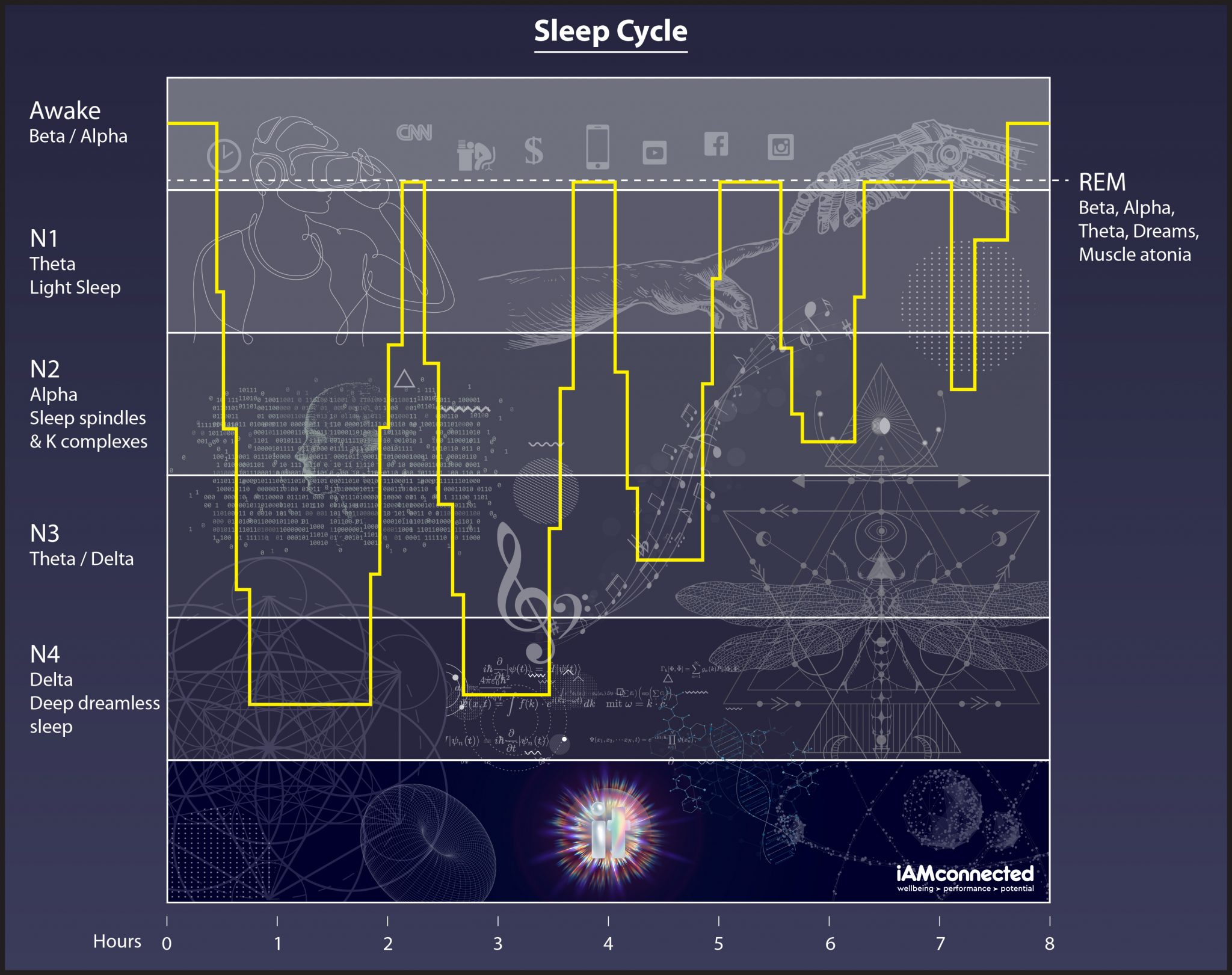 #3. Sleep Stages and States - iAMconnected